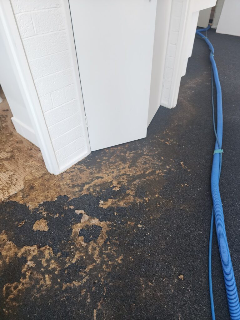 Rising Above the Waters: A Comprehensive Guide to Flood Recovery ...